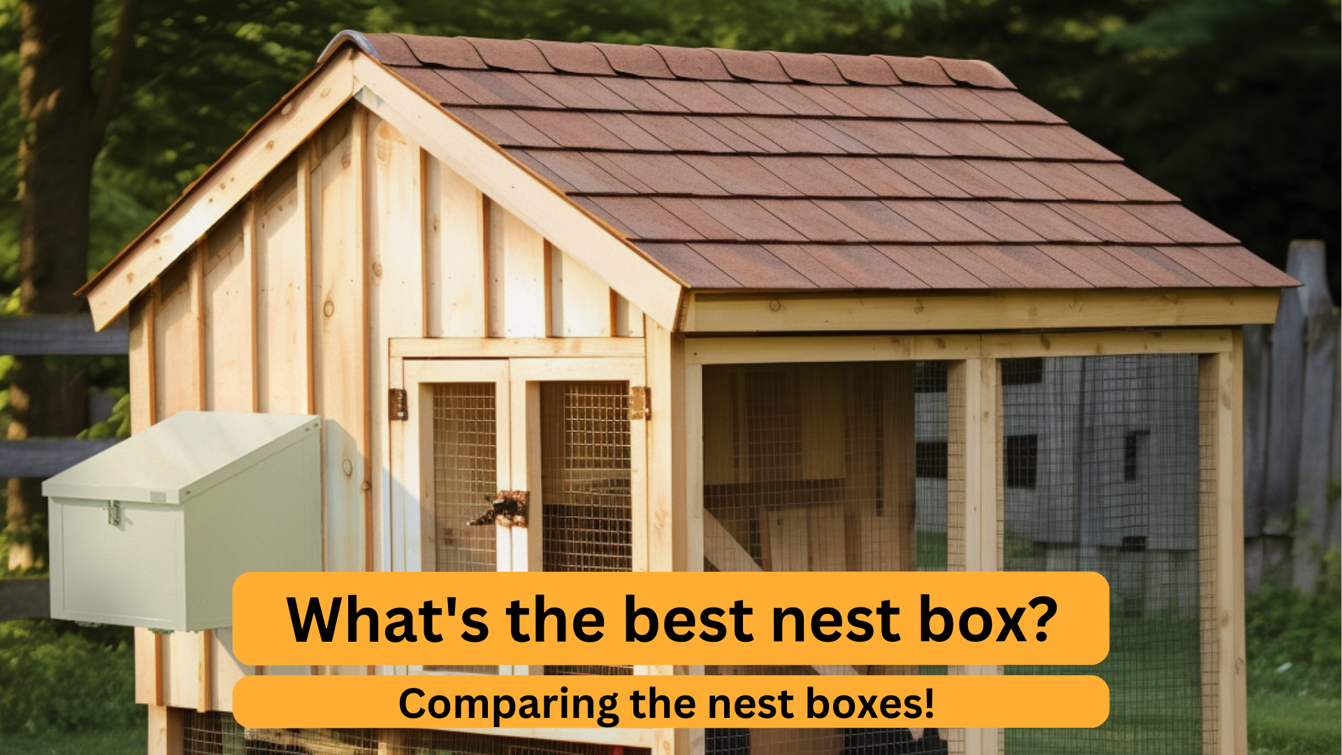 Best Nest Boxes for Chickens: A Comparison | NestyBoxes – Nesty Boxes