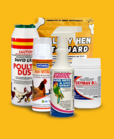 Australia's Innovative Chicken Keeping Supplies | Nesty Boxes