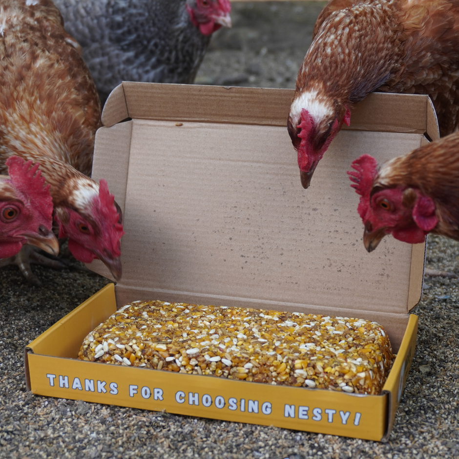 Buy Quality Chicken Feed & Food Online | Nesty Boxes