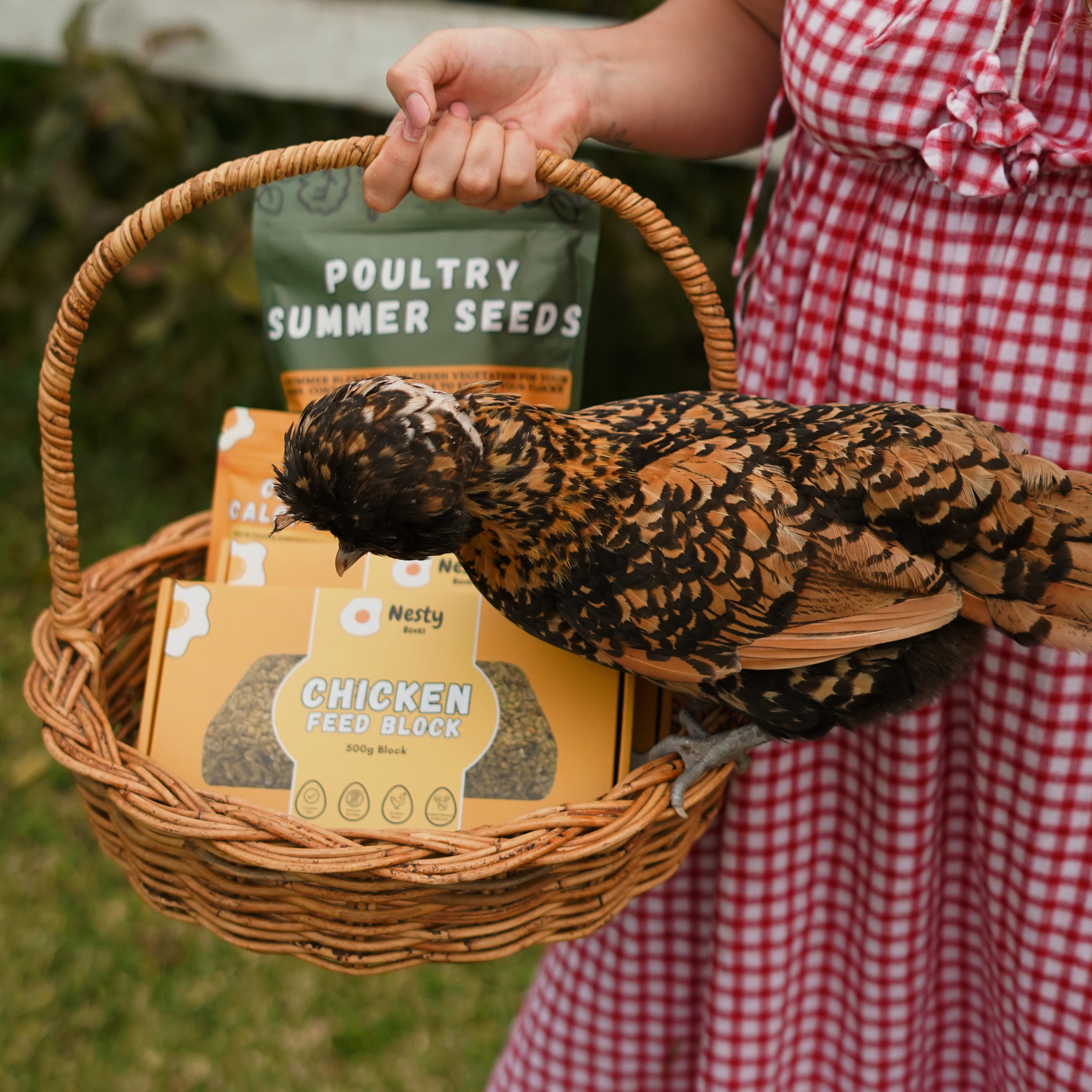 Buy Chicken Feed Block Online | Nesty Boxes