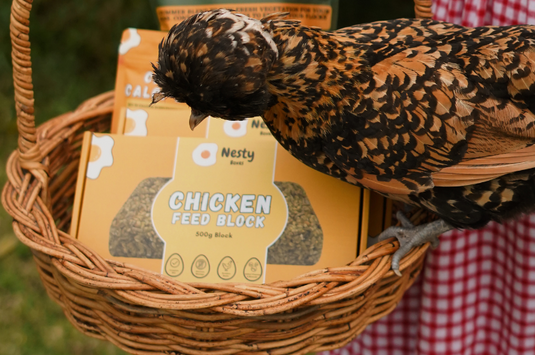 Buy Chicken Feed Block Online | Nesty Boxes