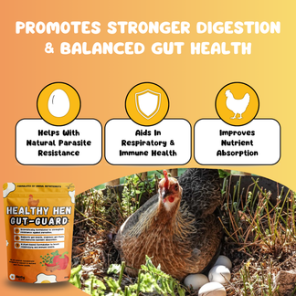 Healthy Hen Gut Guard | Natural Poultry Gut Health Supplement – Nesty Boxes